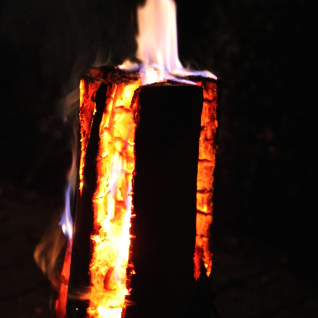 Esschert Zweedse Fakkel | Hoogte 50 cm, Ø15-25 cm | 36 stuks ...